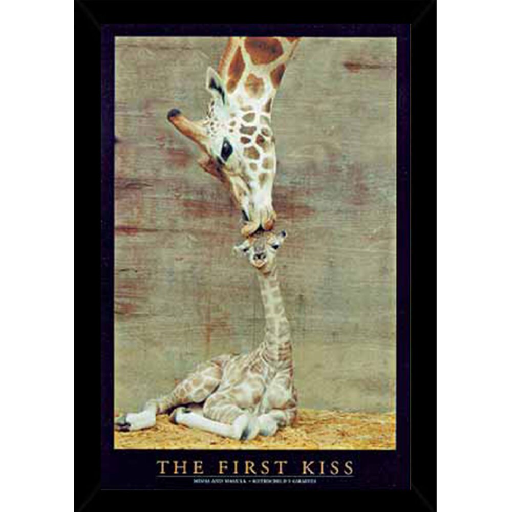 First Kiss Poster 24 Inch X 36 Inch On Plaque Or Woodmount Overstock