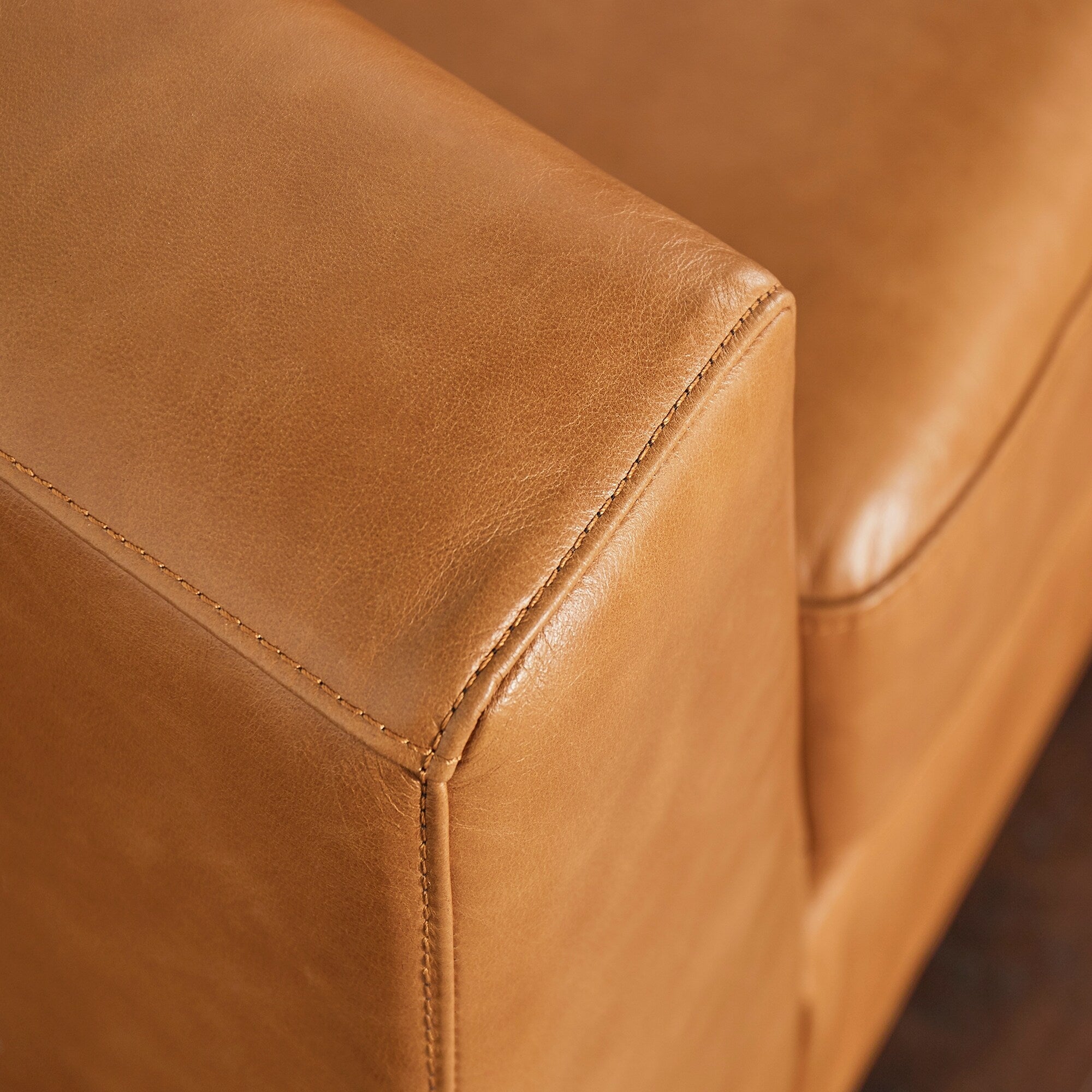 Bastian Aniline Leather Sofa by iNSPIRE Q Modern Overstock