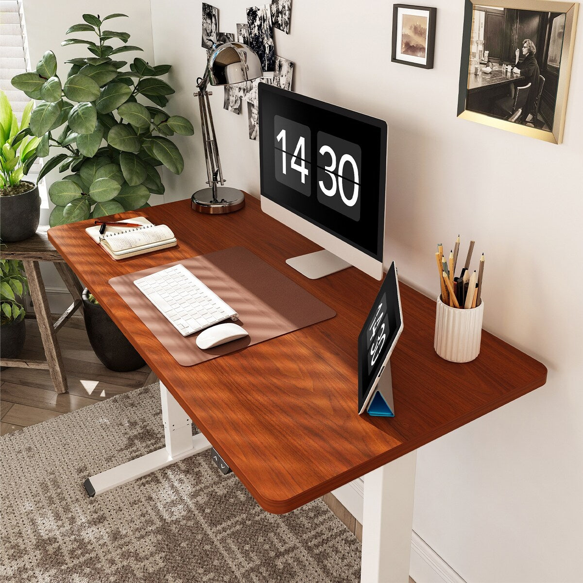 FlexiSpot 48 x30 Electric Home Office Height Adjustable Standing Desk Overstock