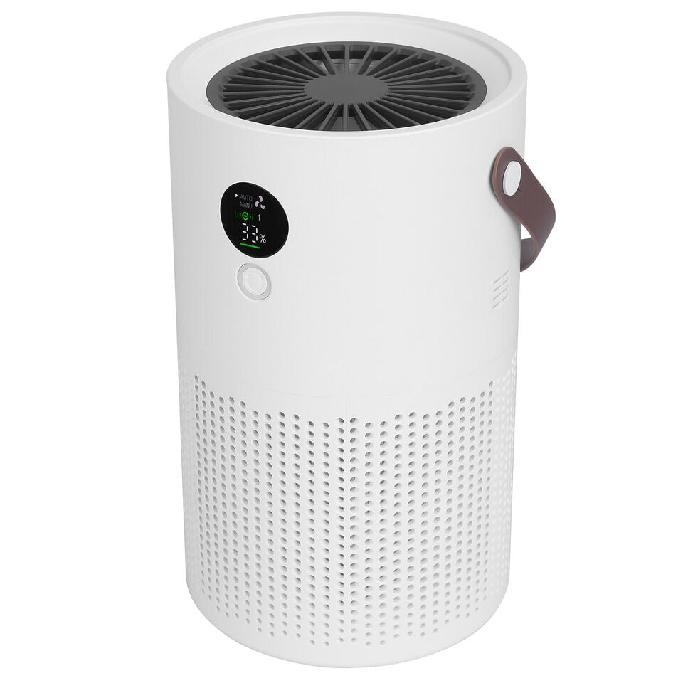 Anion mode on air purifier store